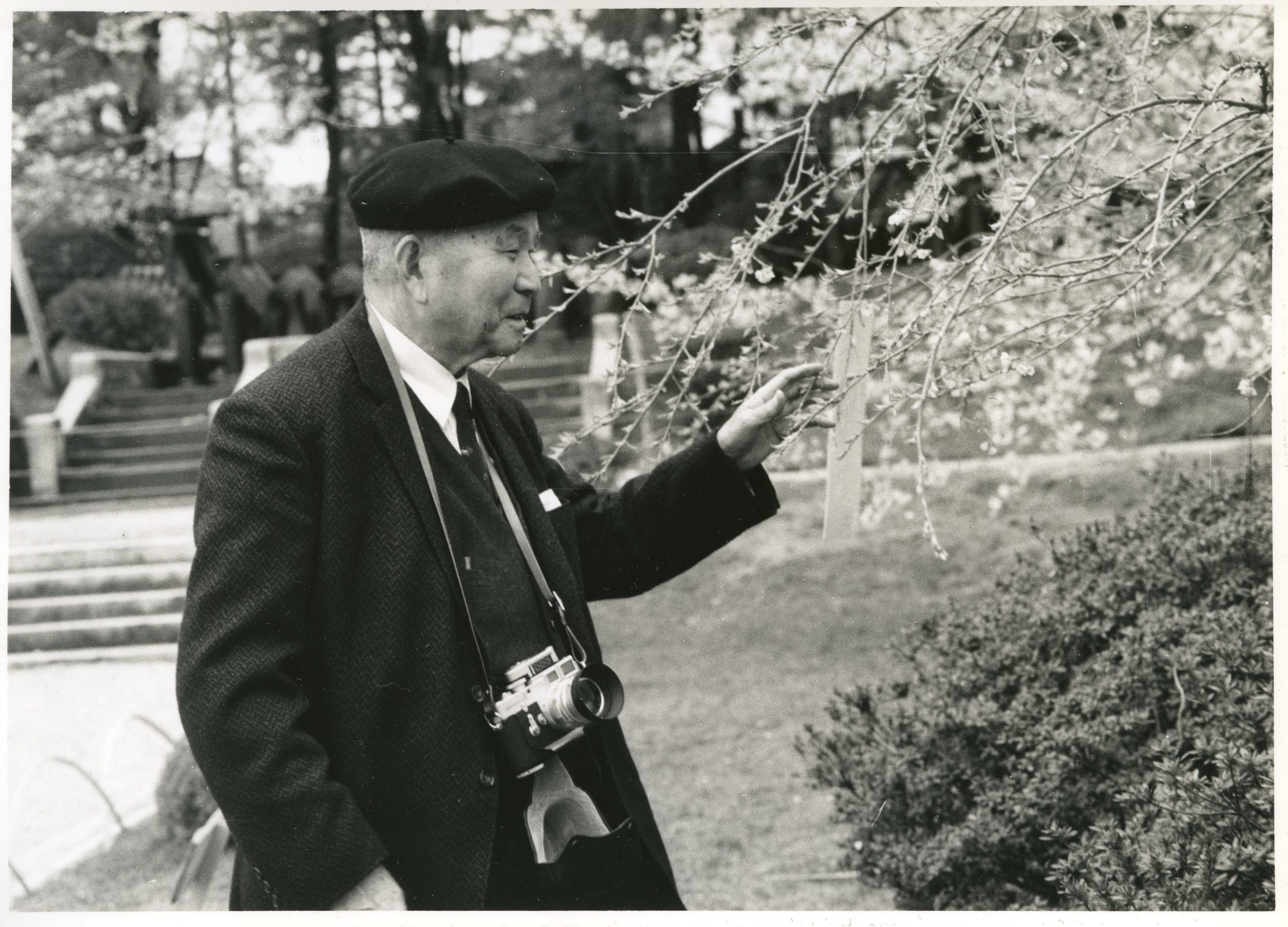 Sasabe and Cherry Blossom Viewing Spots Part 2: Nishinomiya - Sake ...